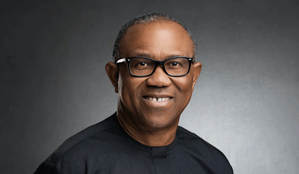 "There Are More Igbos Than Other Tribes In Lagos, That's Why Obi Won ...